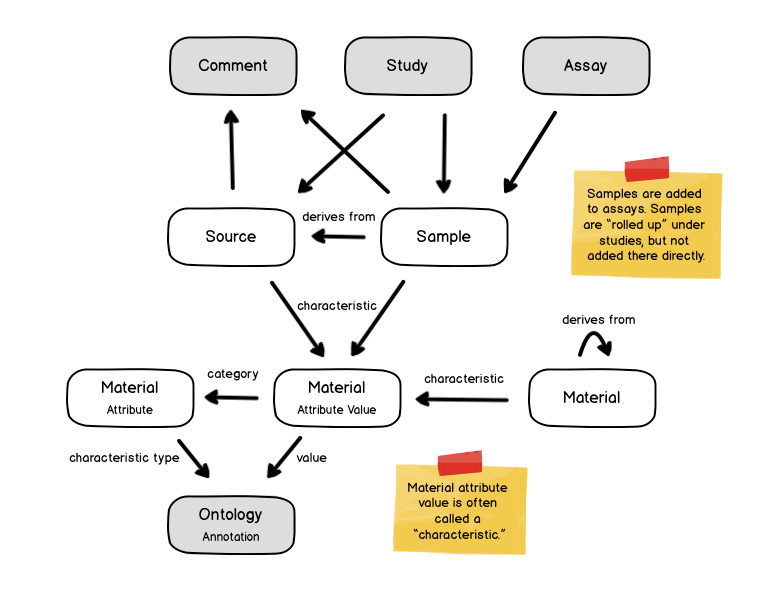 Data Model - BioConnect Documents